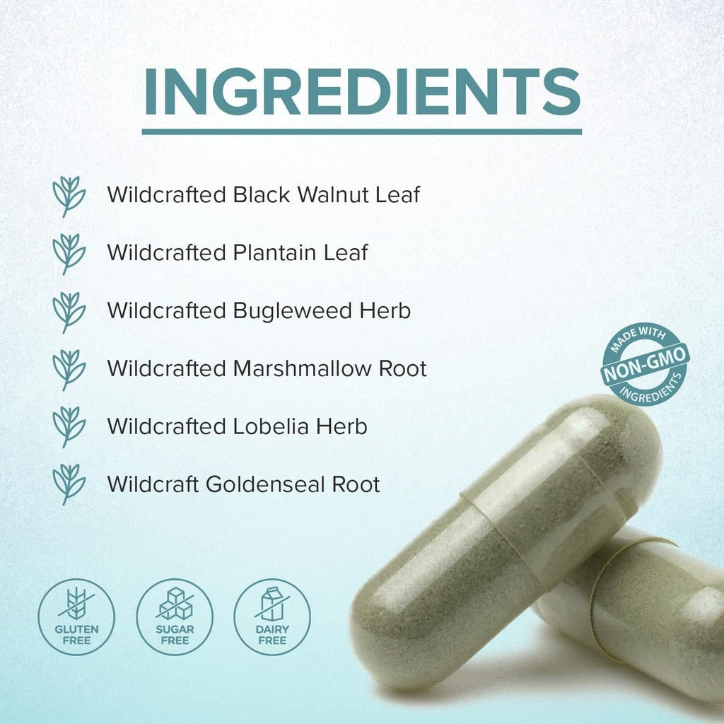 LymphX Milk Thistle antioxidant properties