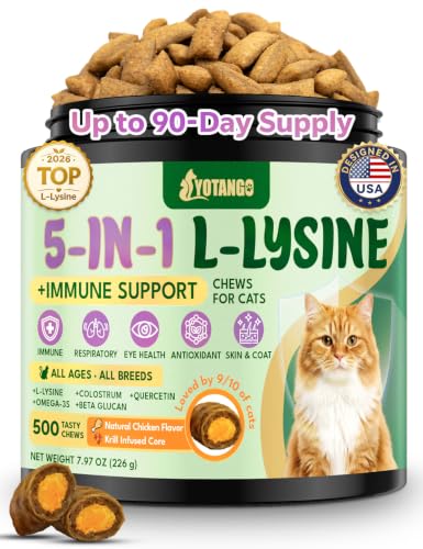 Lysine chews for cat immune health