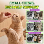 Lysine chews for feline wellness