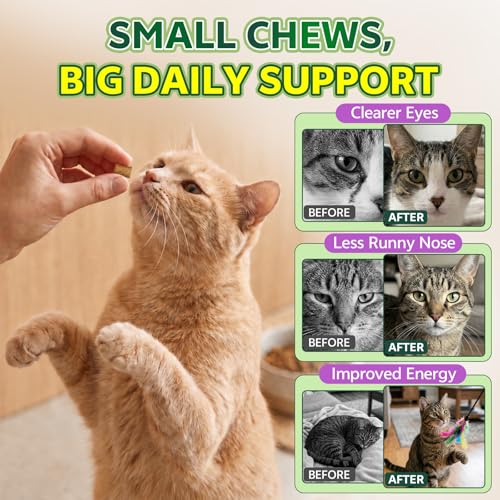 Lysine chews for feline wellness