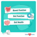 Lysine multivitamins for feline wellness