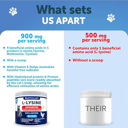 Lysine powder for respiratory support