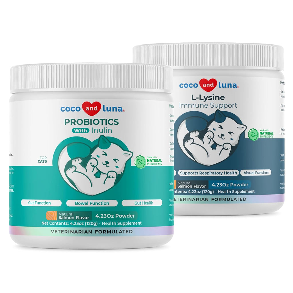 Lysine probiotics for healthy cats