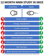 MAAC10 NMN supports cellular health