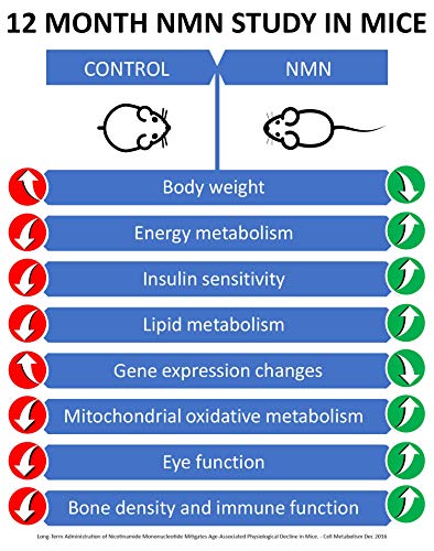MAAC10 NMN supports cellular health
