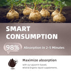 Maca extract for hormonal balance