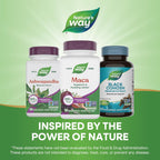 Maca extract for improved stamina