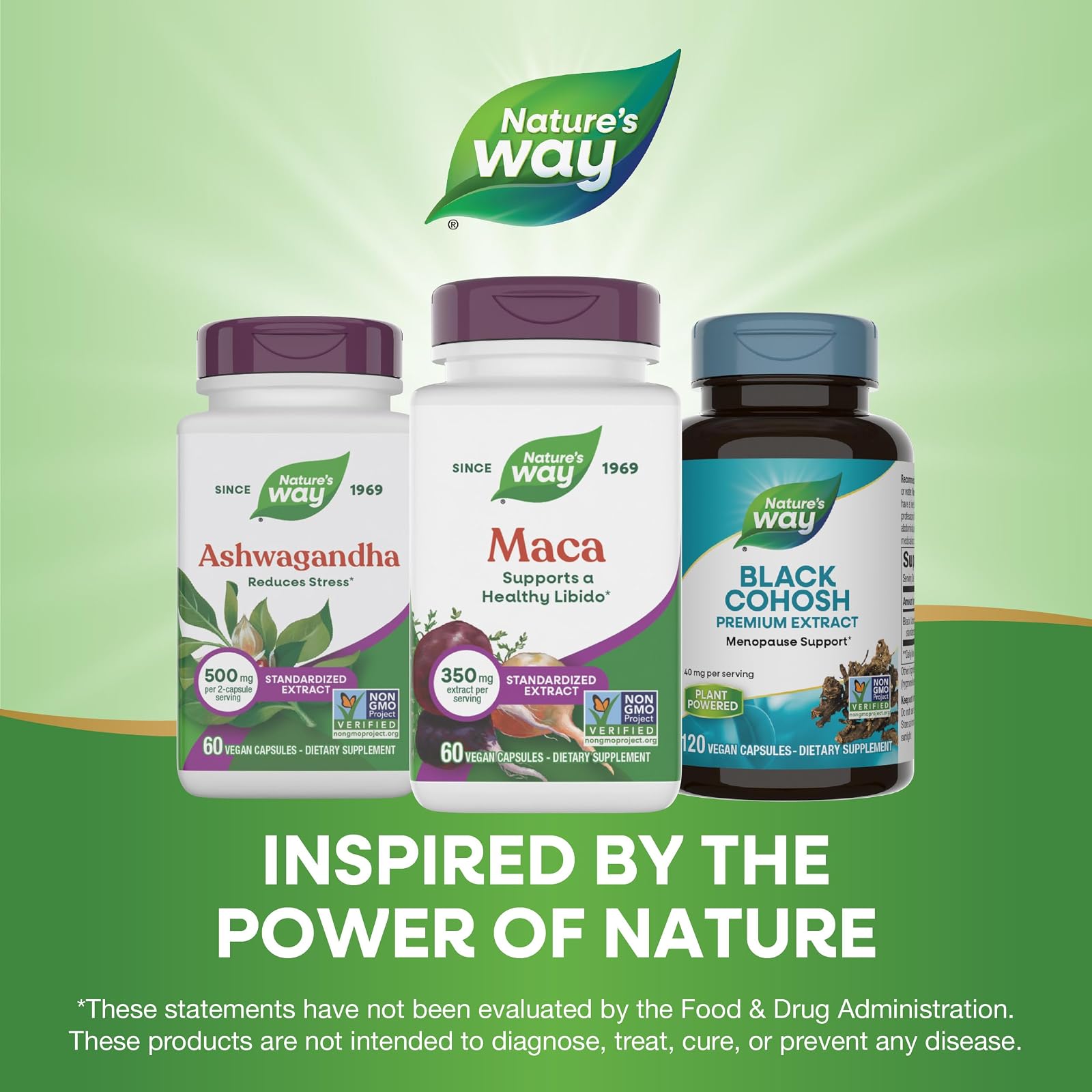 Maca extract for improved stamina