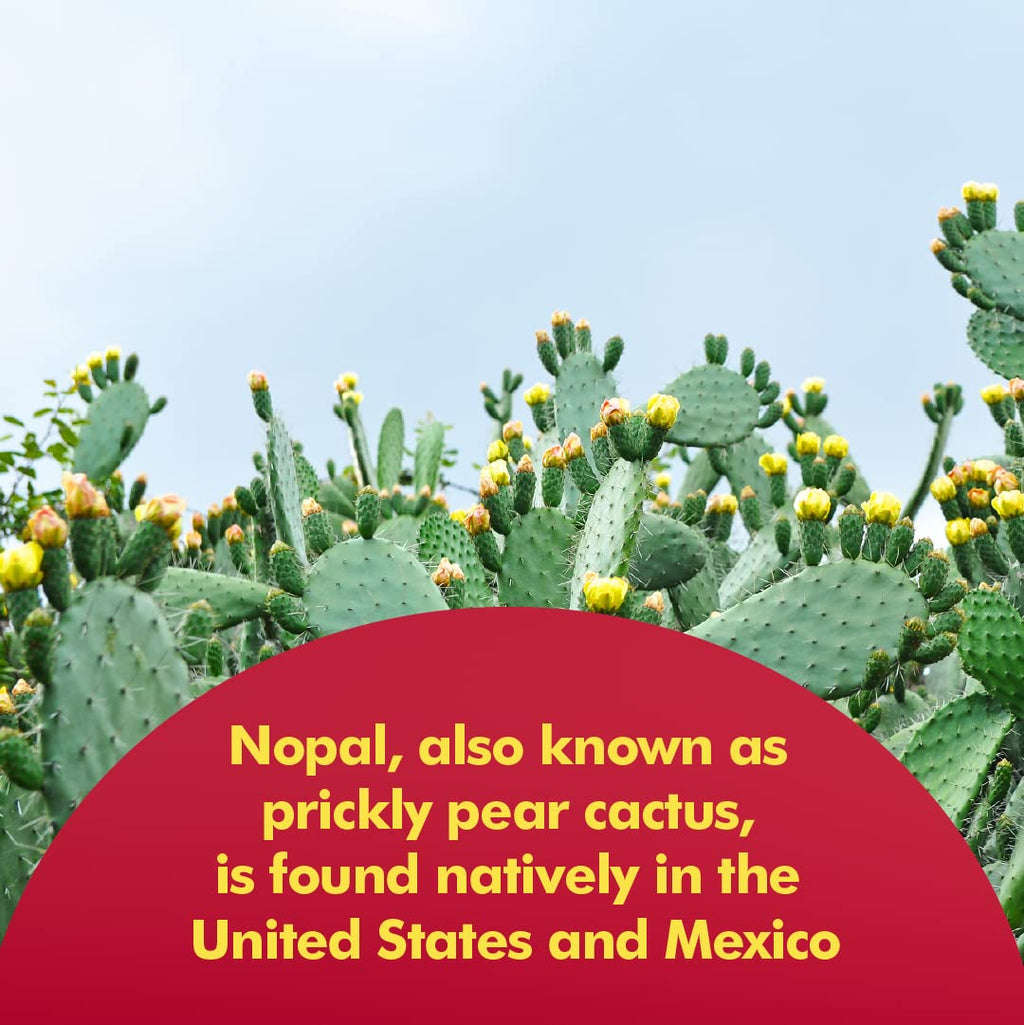 Maca & Nopal for active lifestyle