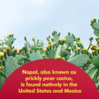 Maca & Nopal for active lifestyle