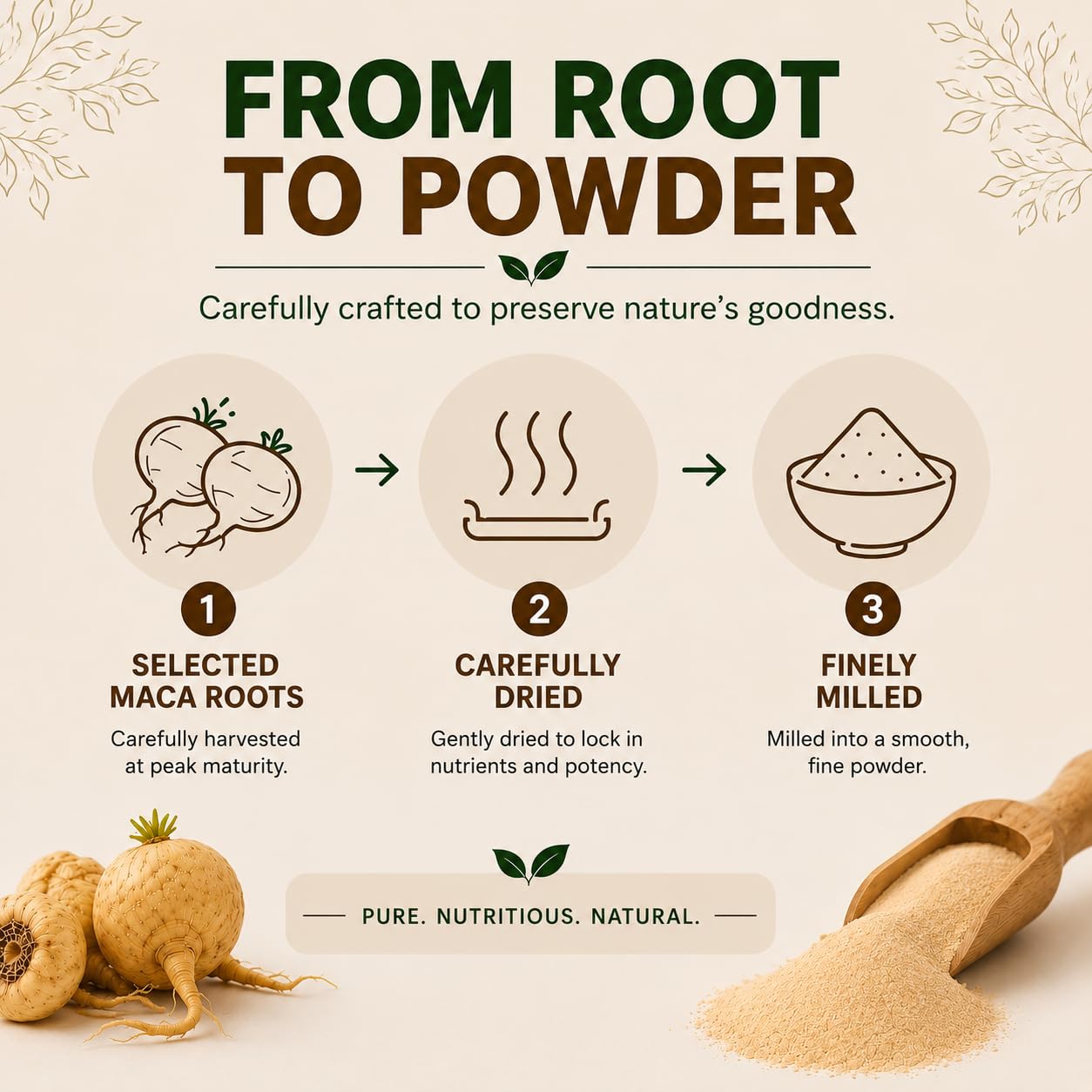 maca powder for hormonal balance