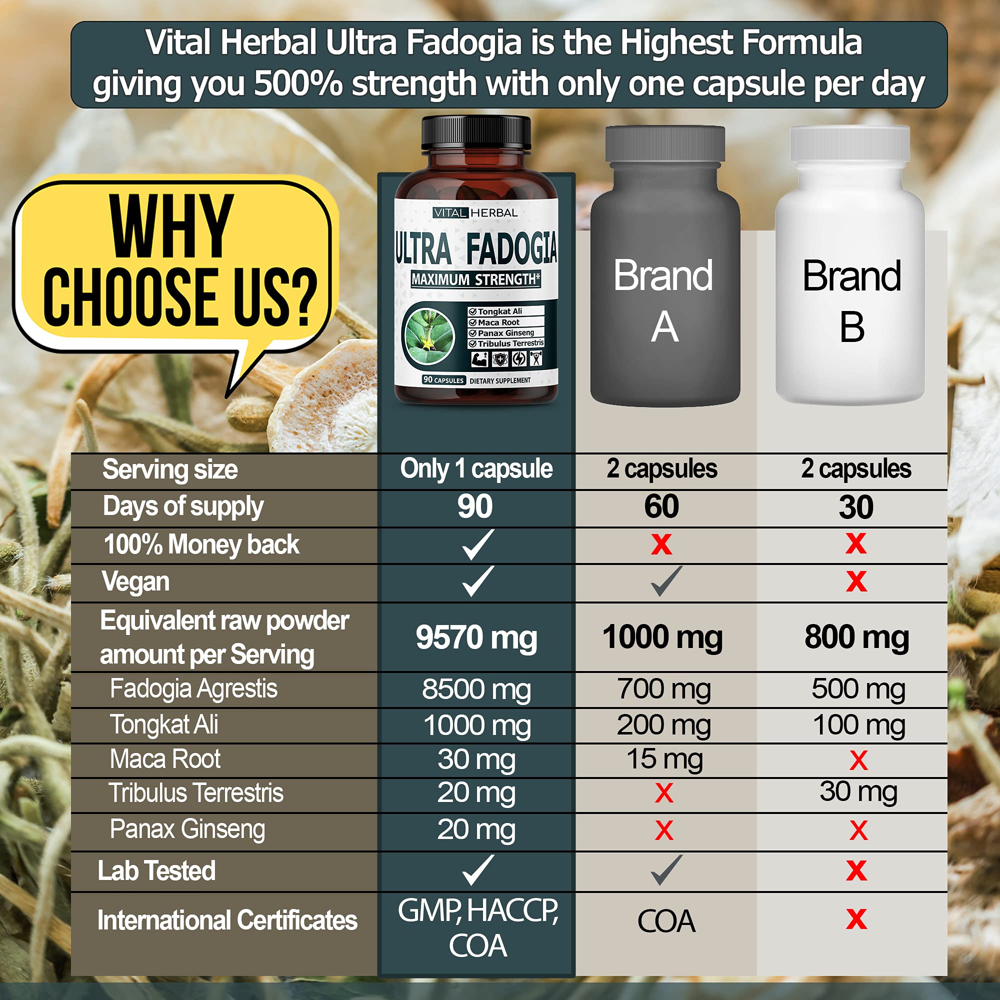 Maca root capsules for energy