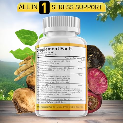 maca root energy booster supplement