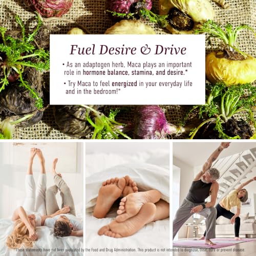 Maca root extract for balanced hormones