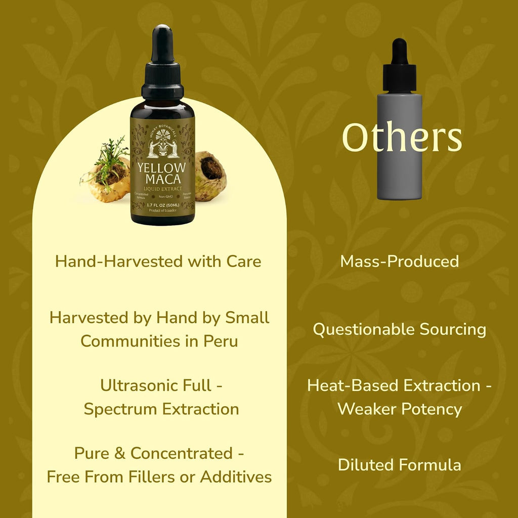 Maca root extract for wellness