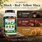 Maca root for energy boost