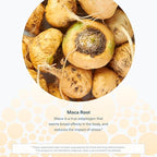 Maca root for energy support