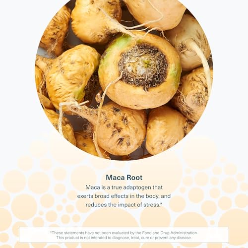 Maca root for energy support