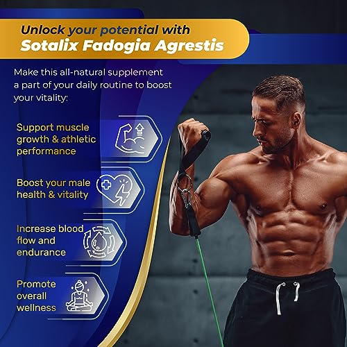 maca root for enhanced vitality