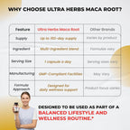 Maca Root for overall wellness