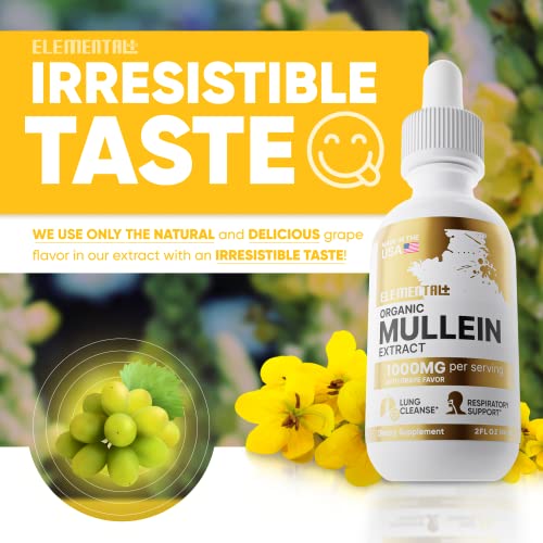 made in Canada mullein extract