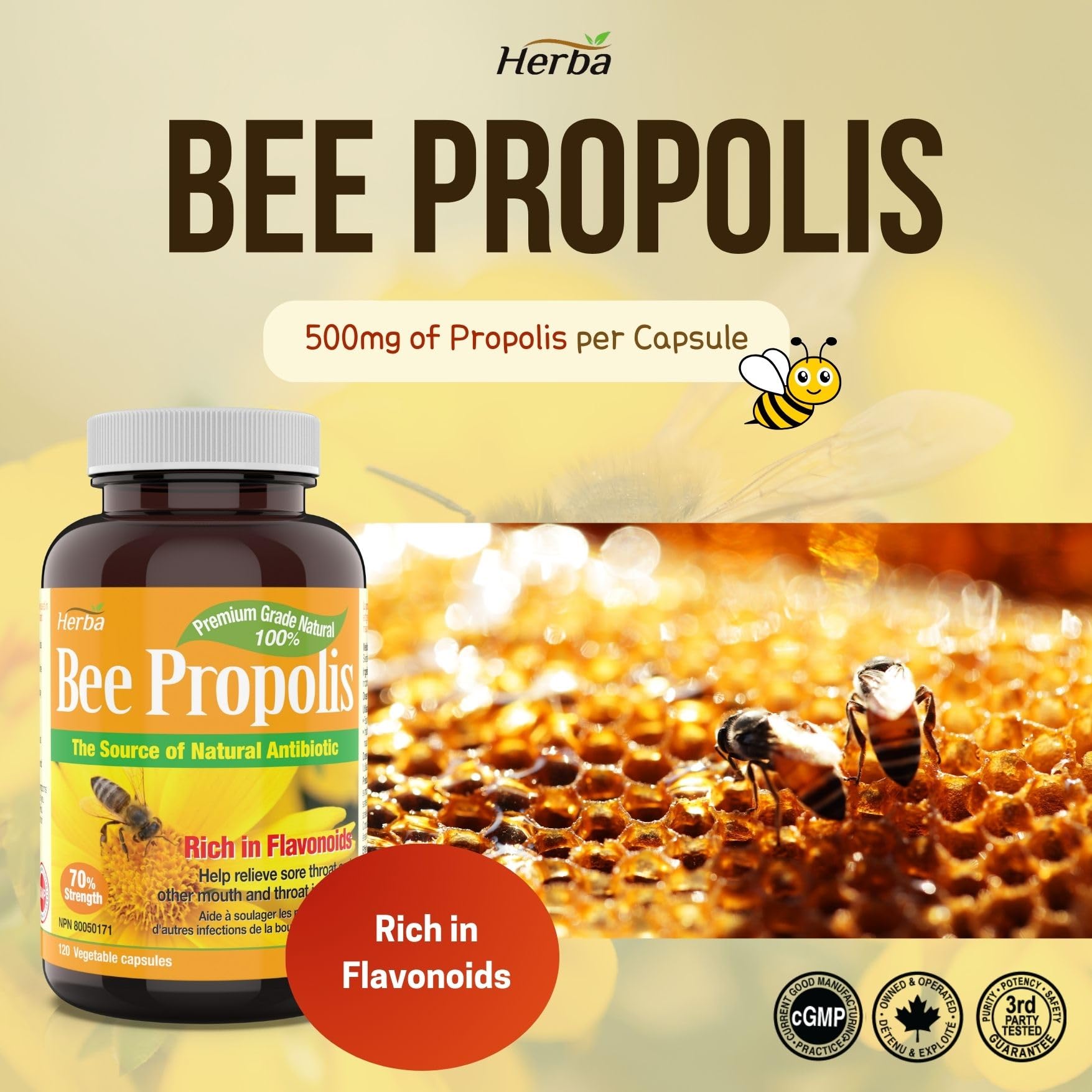Made in Canada propolis supplement