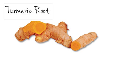 made in Canada turmeric supplement