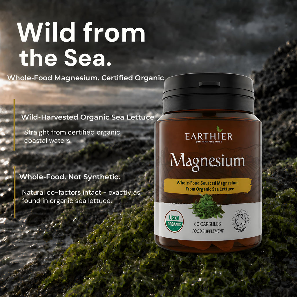 magnesium bisglycinate for better absorption