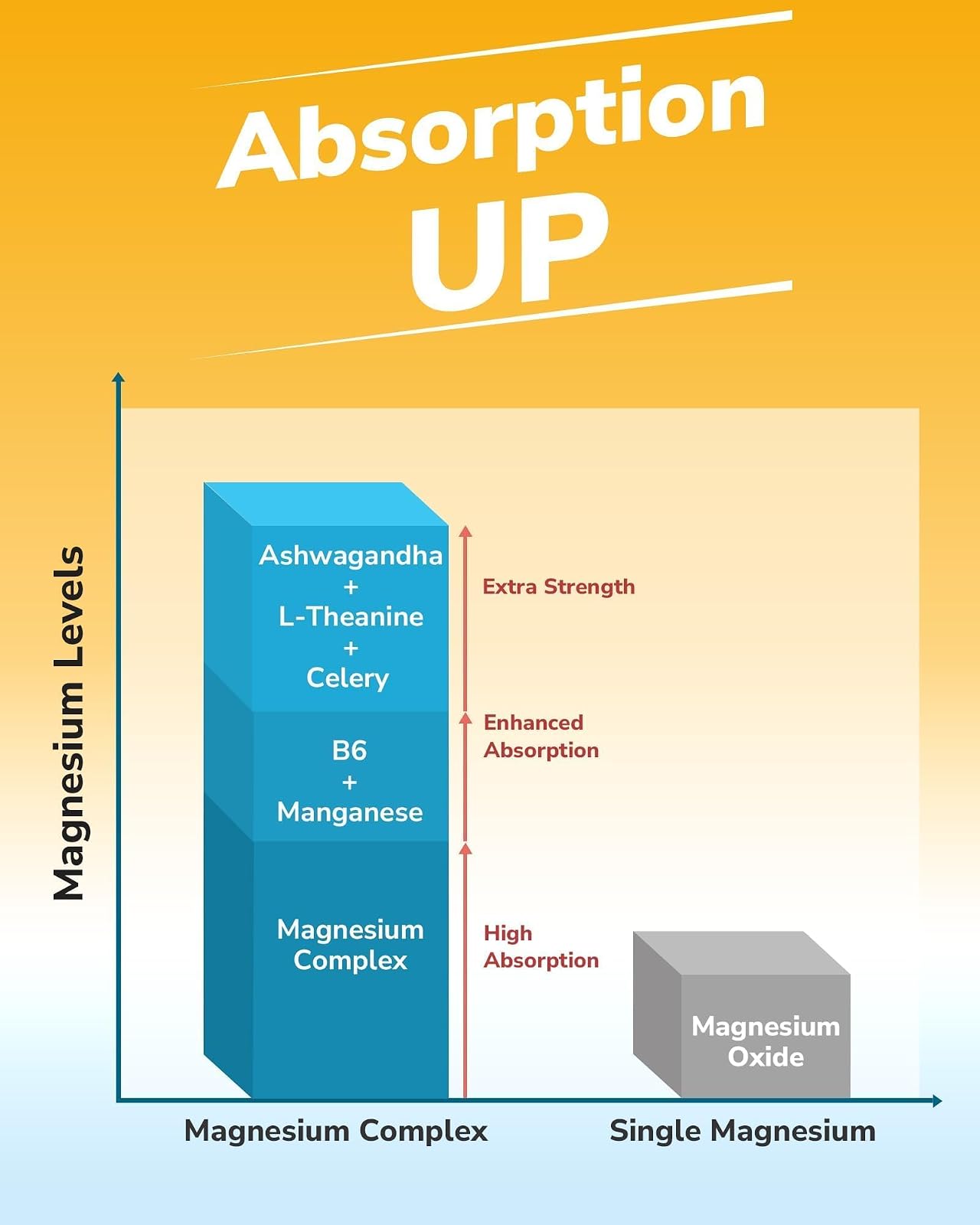magnesium bisglycinate for daily wellness