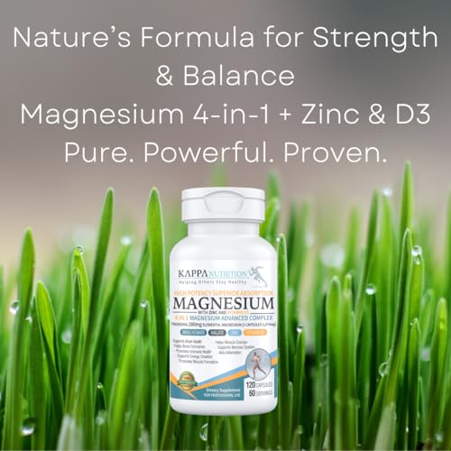 magnesium bisglycinate for daily wellness