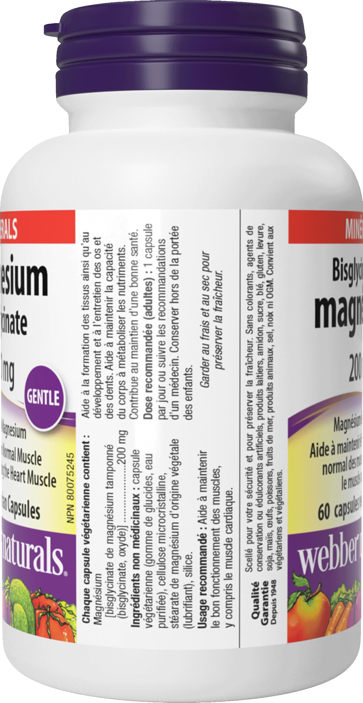 magnesium bisglycinate for digestive health