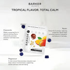 magnesium bisglycinate gummies for daily wellness