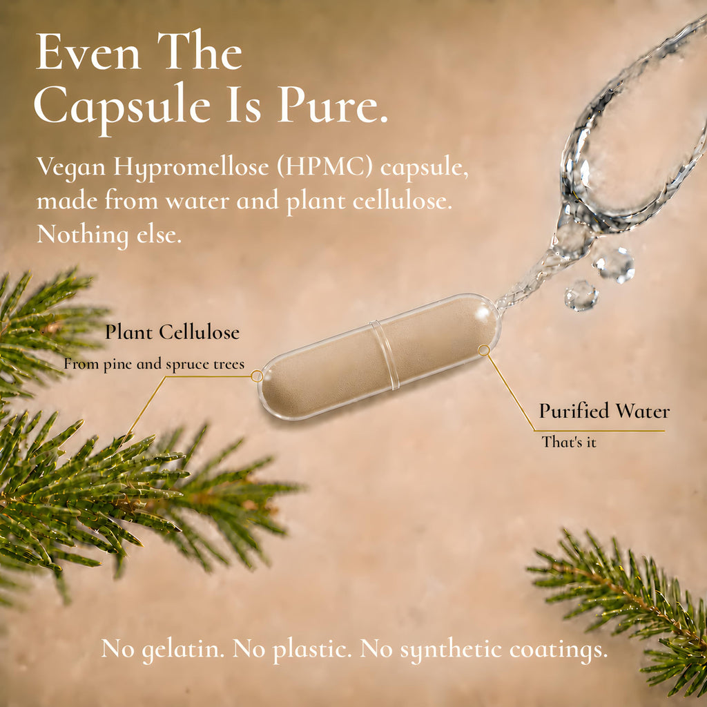 magnesium capsules for balanced mood