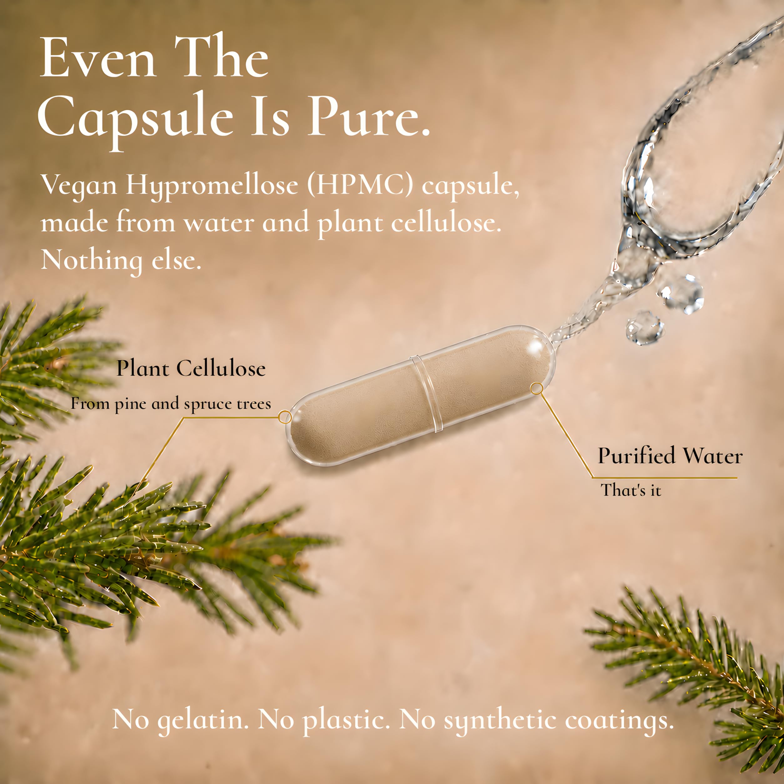 magnesium capsules for balanced mood