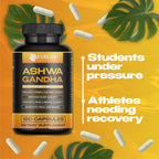 Magnesium capsules for daily wellness