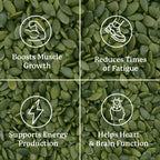 magnesium citrate for digestive health
