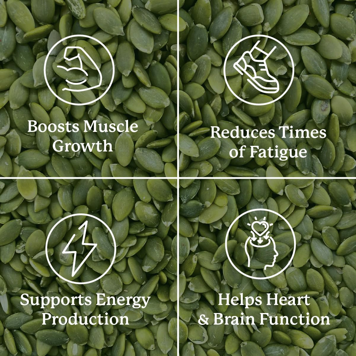 magnesium citrate for digestive health