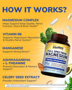 magnesium citrate for digestive health
