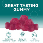 magnesium citrate gummies for muscle support