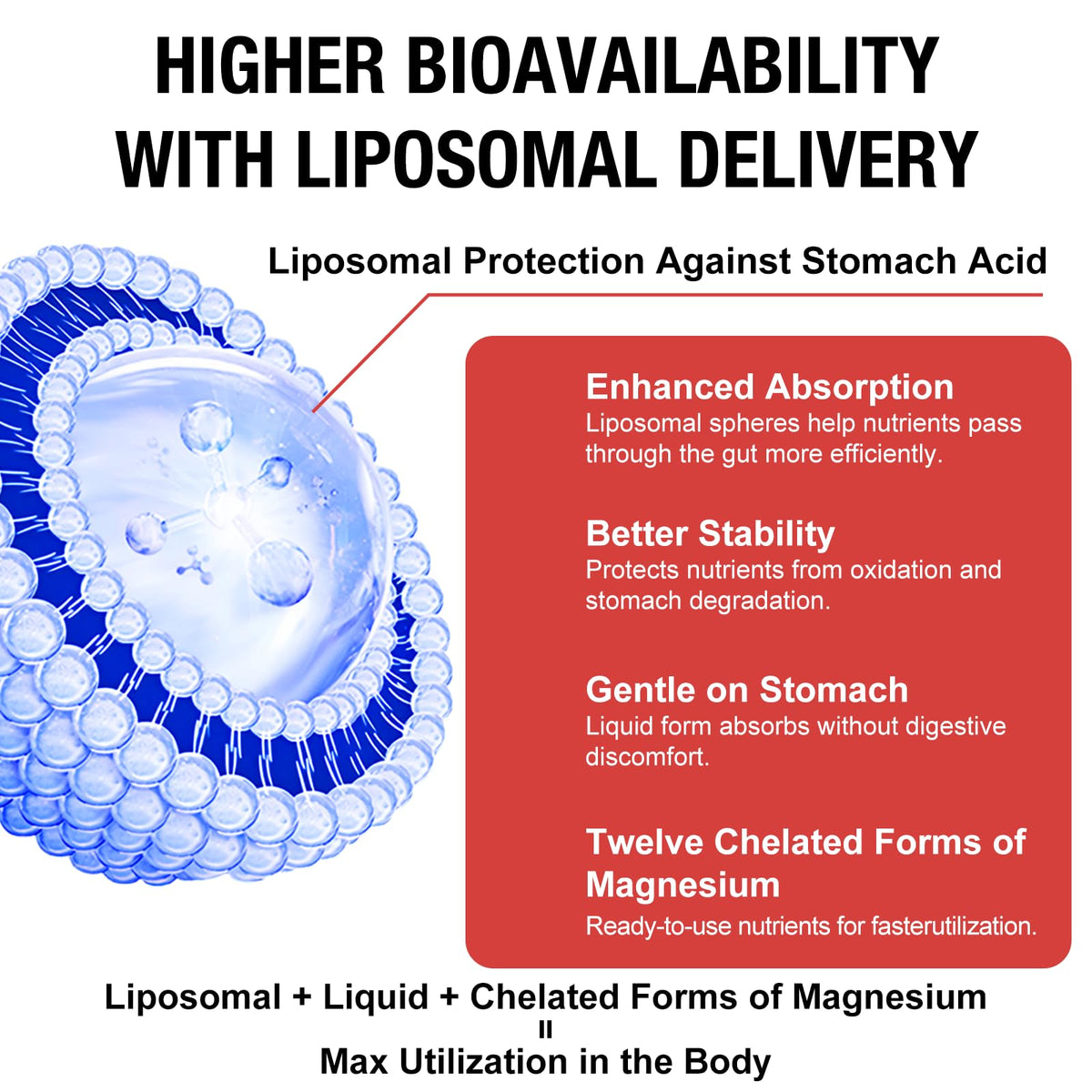 Magnesium complex for overall wellness