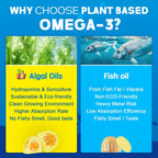 magnesium enriched omega 3 gummies