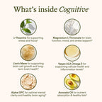 Magnesium for cognitive function support