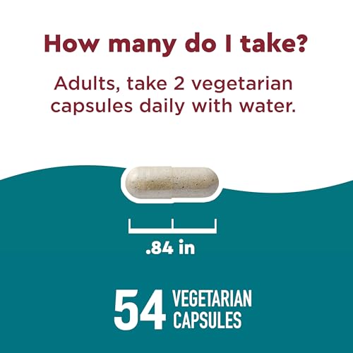 Magnesium for daily stress management