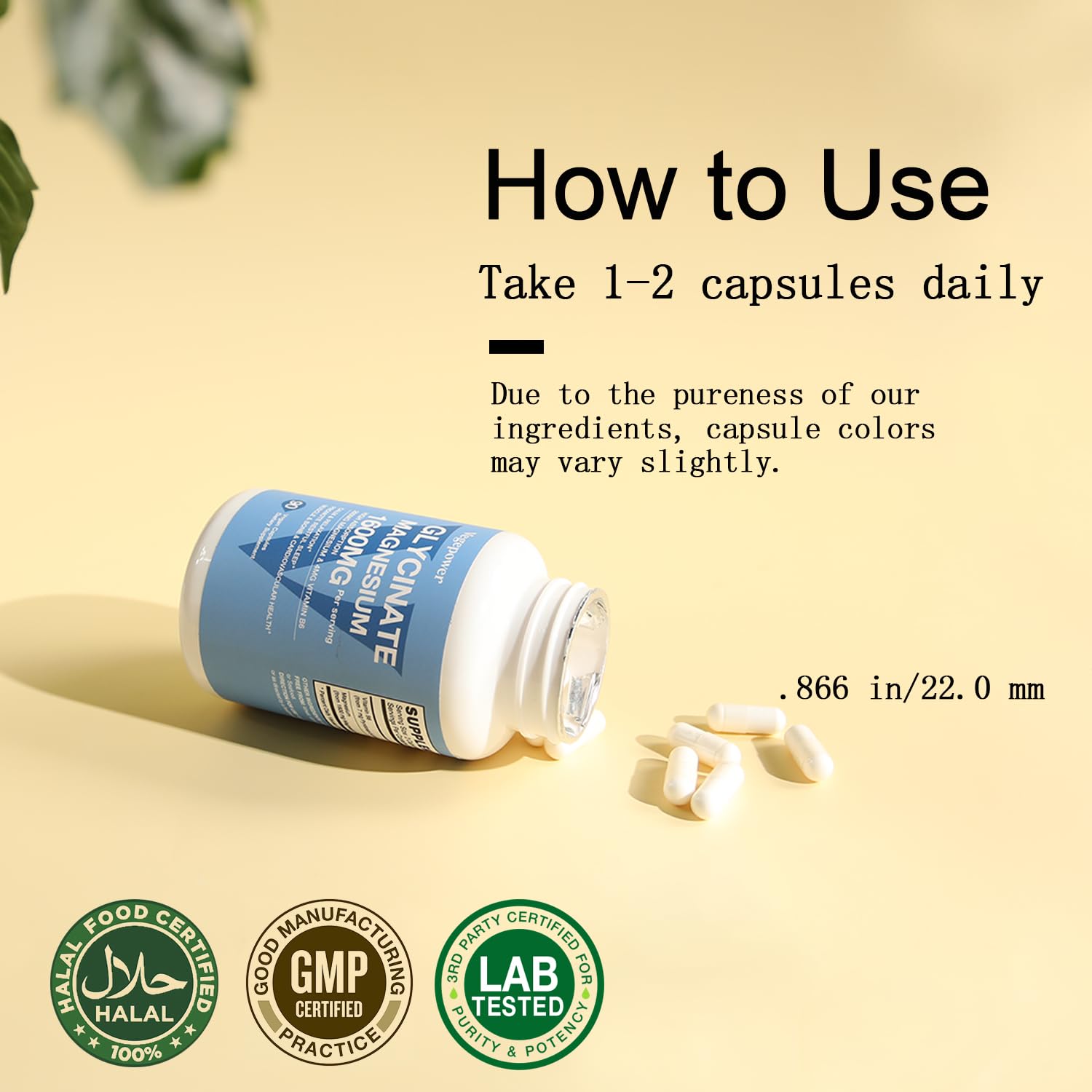 magnesium glycinate for daily supplementation