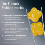 Magnesium gummies for daily wellness