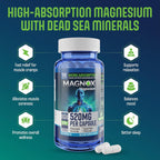Magnesium l-threonate for cognitive support