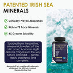 Magnesium malate for energy support