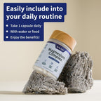 magnesium malate for workout recovery