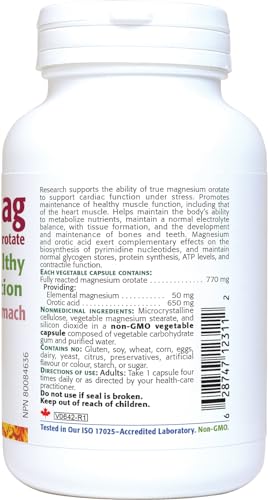 magnesium orotate for improved mood