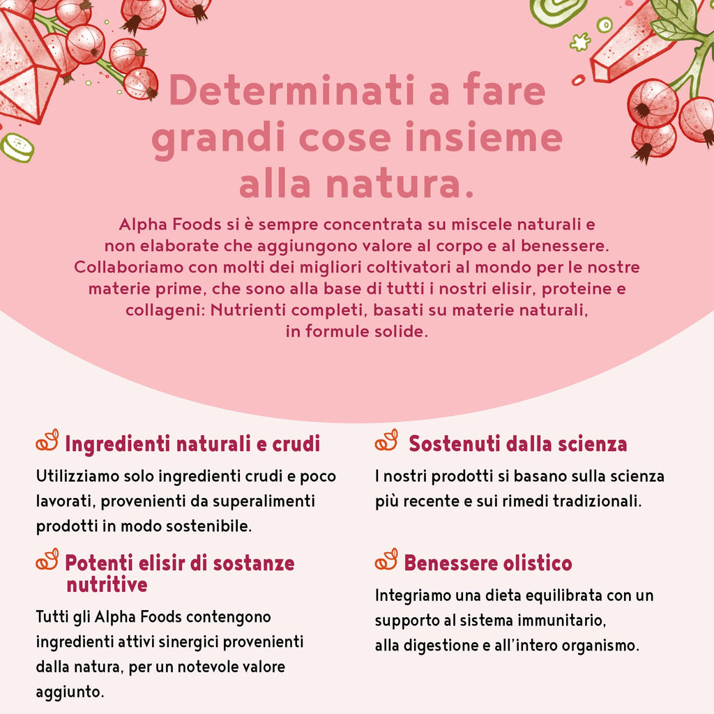 magnesium powder with six compounds